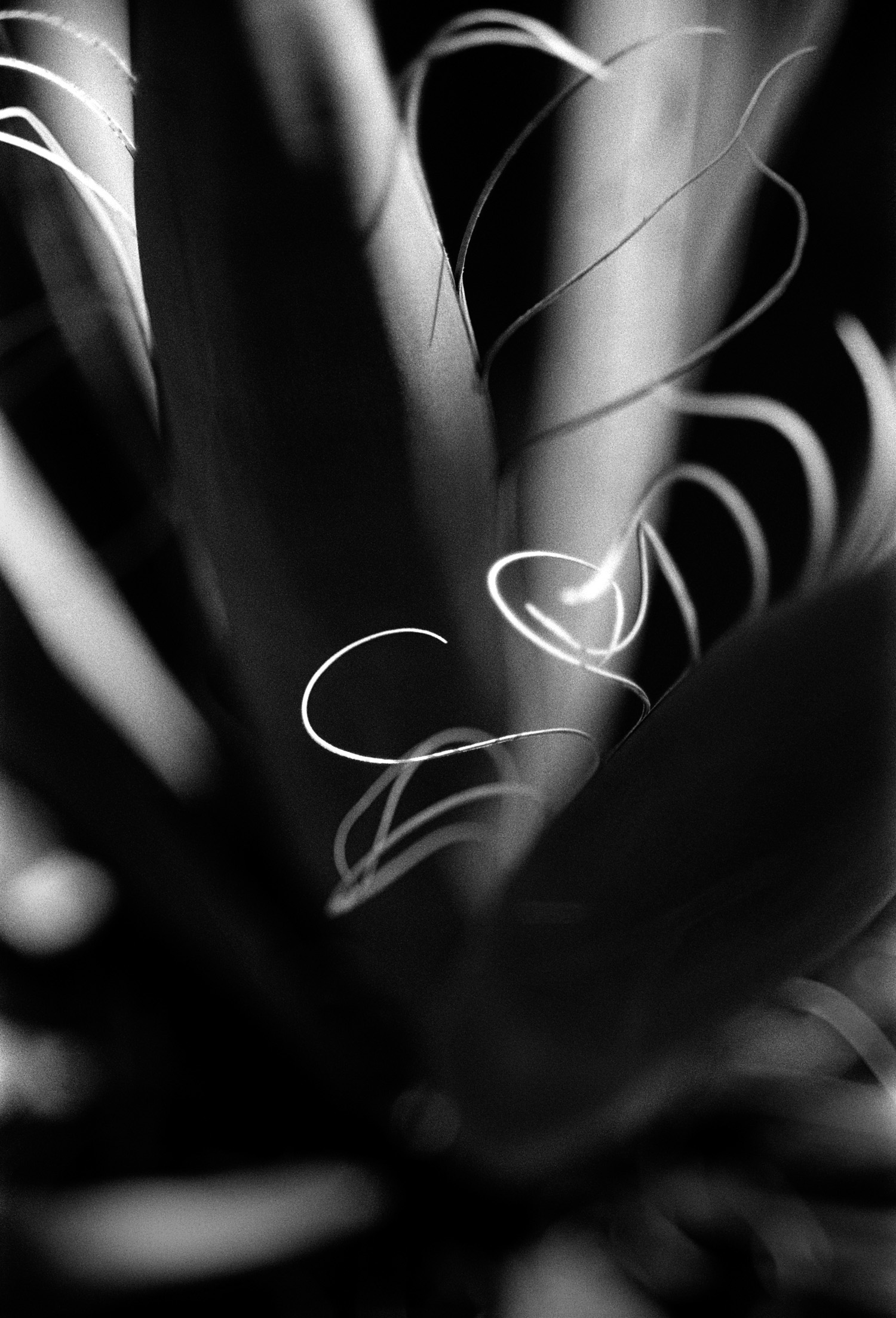 Clues to Identity Student Exhibition | International Center of Photography