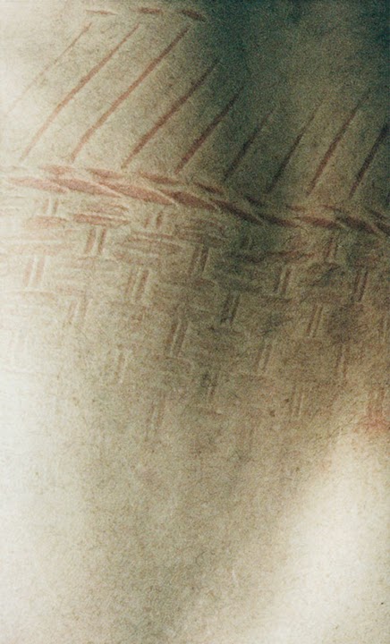 The Exquisite Landscape: A Transcript of Sight | International Center ...