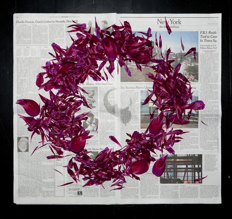 The Exquisite Landscape: A Transcript of Sight | International Center ...