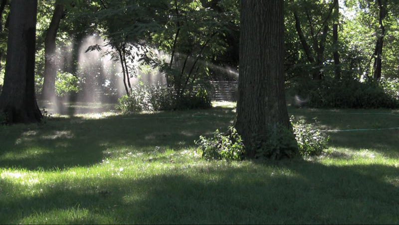 The Exquisite Landscape: A Transcript of Sight | International Center ...