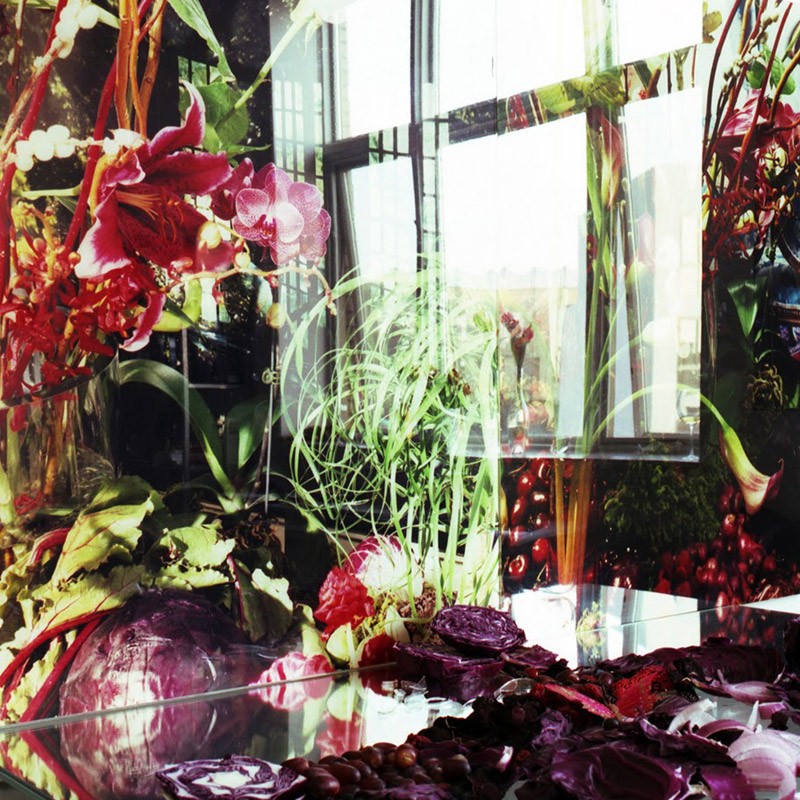 The Exquisite Landscape: A Transcript of Sight | International Center ...