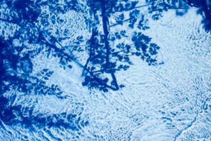 ICP Photographers Lecture Series: Susan Derges | International Center ...