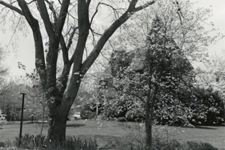 Richard Rothman | International Center of Photography