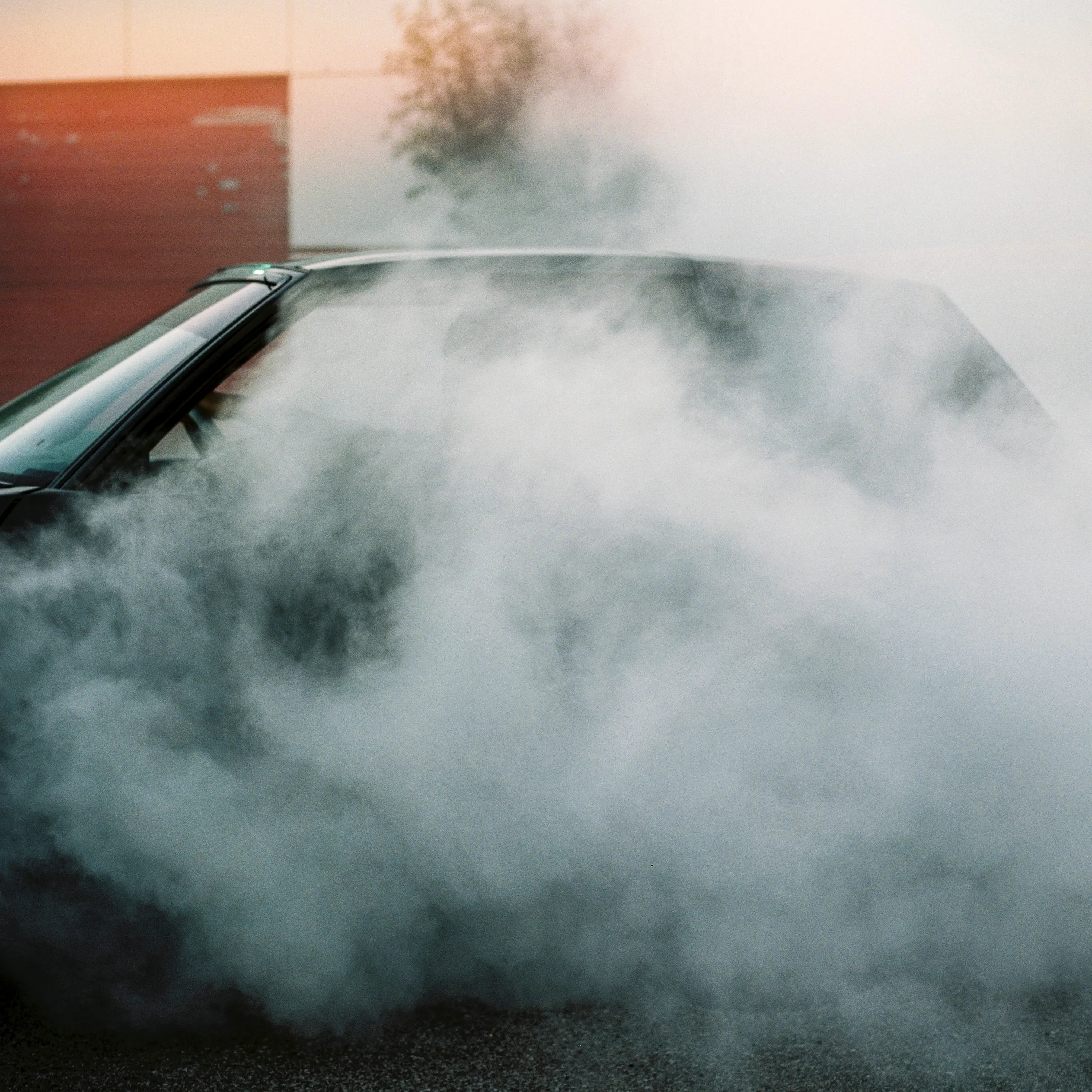 Visual Cortex: 2025 ICP Online Graduates Exhibition | 1International ...